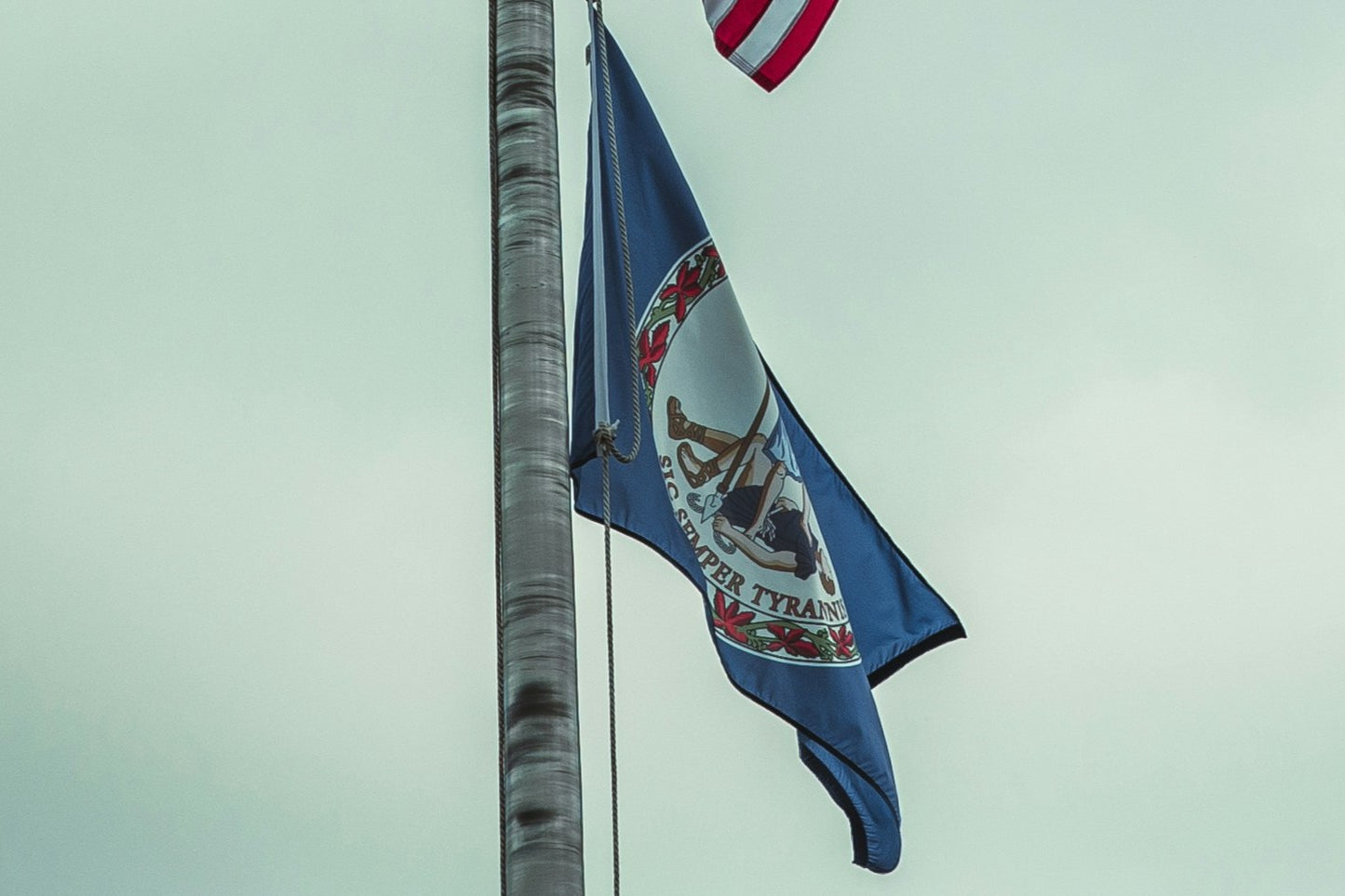 High Quality American Made 4x6 Virginia Nylon State Flag – Flags for ...